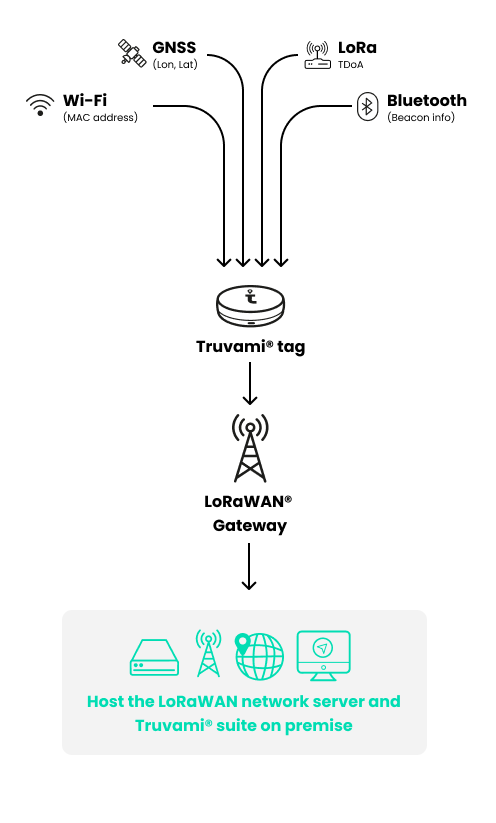 our-solution - truvami